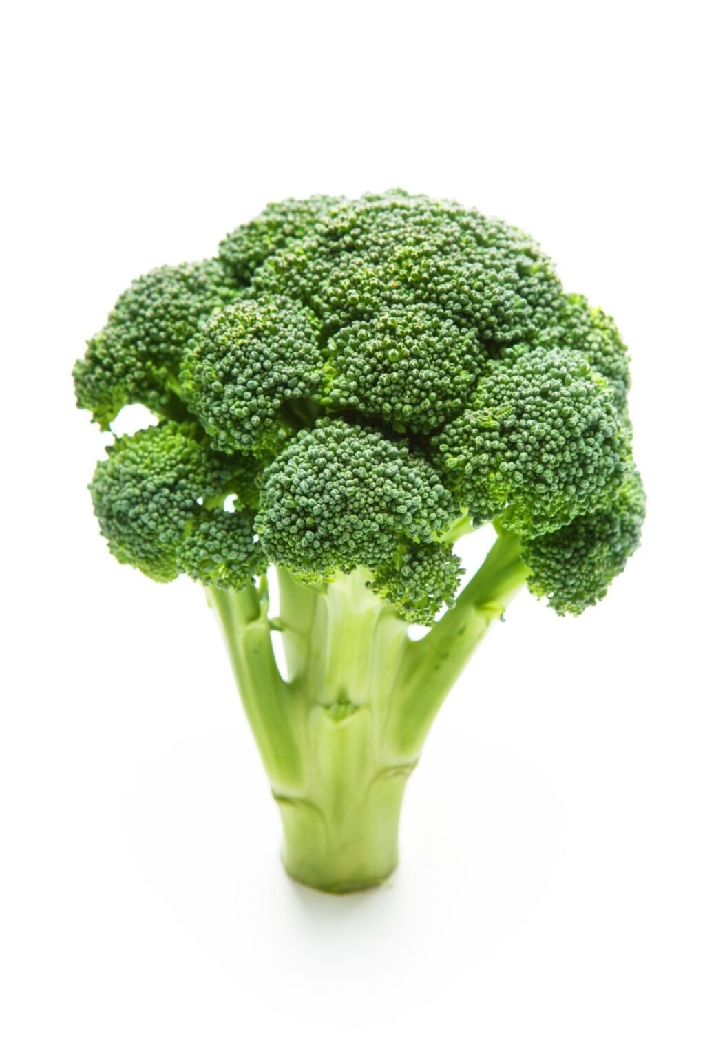 10 High Protein Vegetables You Must Try- Cushy Spa