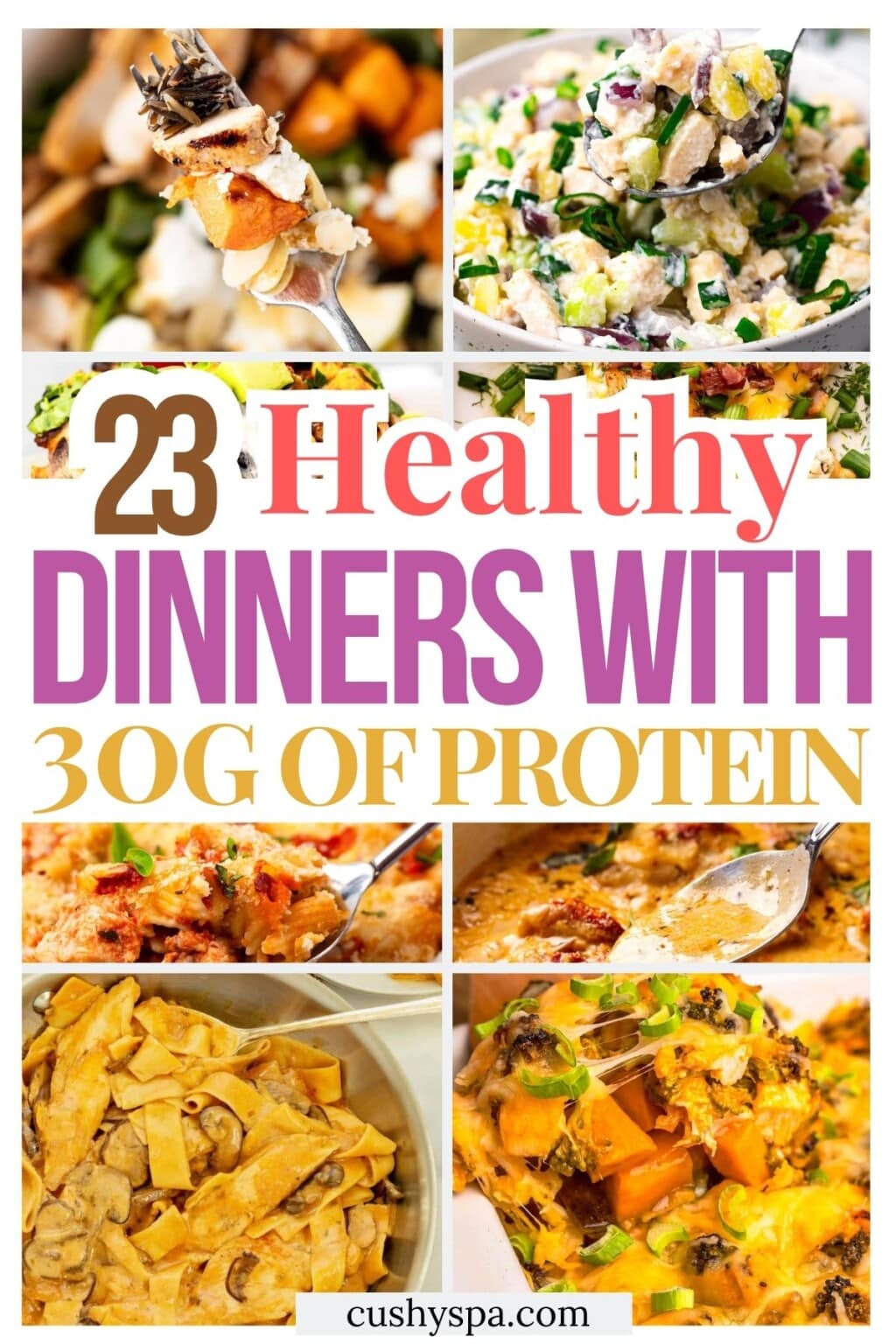 23 Dinners 30g of Protein or More - Cushy Spa