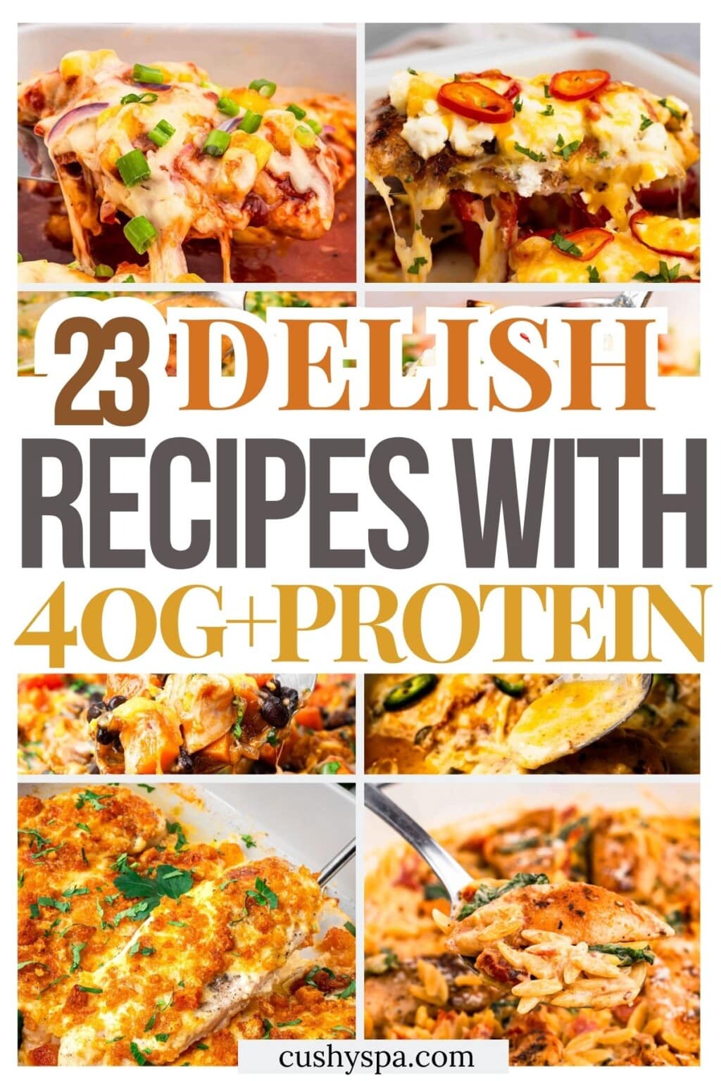 23 High Protein Recipes with 40G+ Protein - Cushy Spa