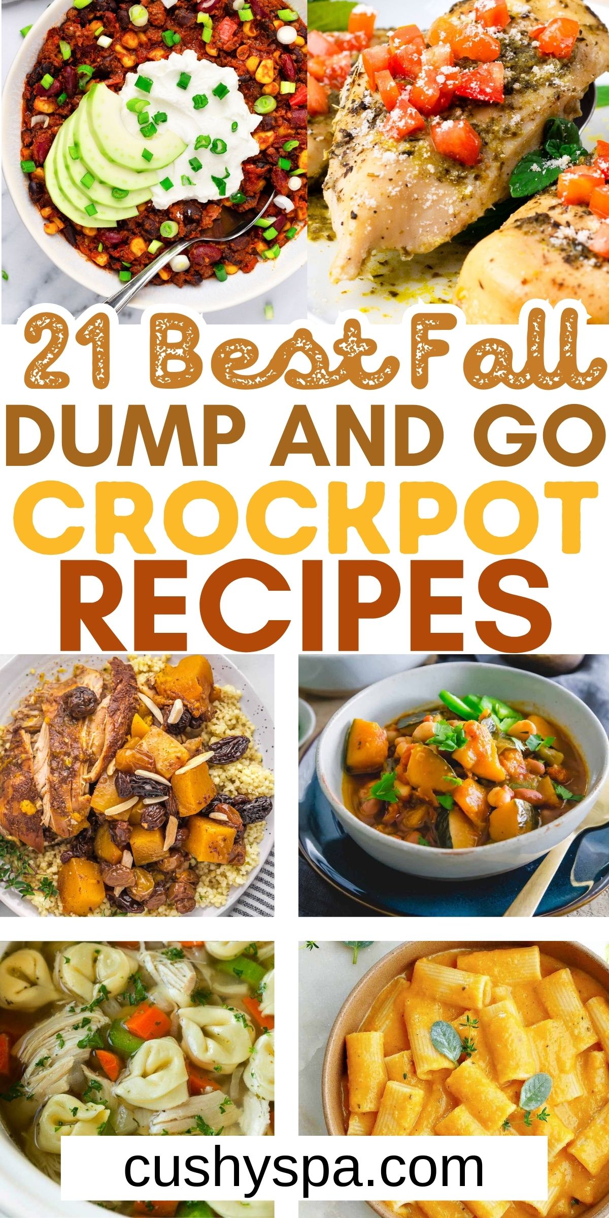 21 Healthy Fall Dump and Go Crockpot Recipes - Cushy Spa