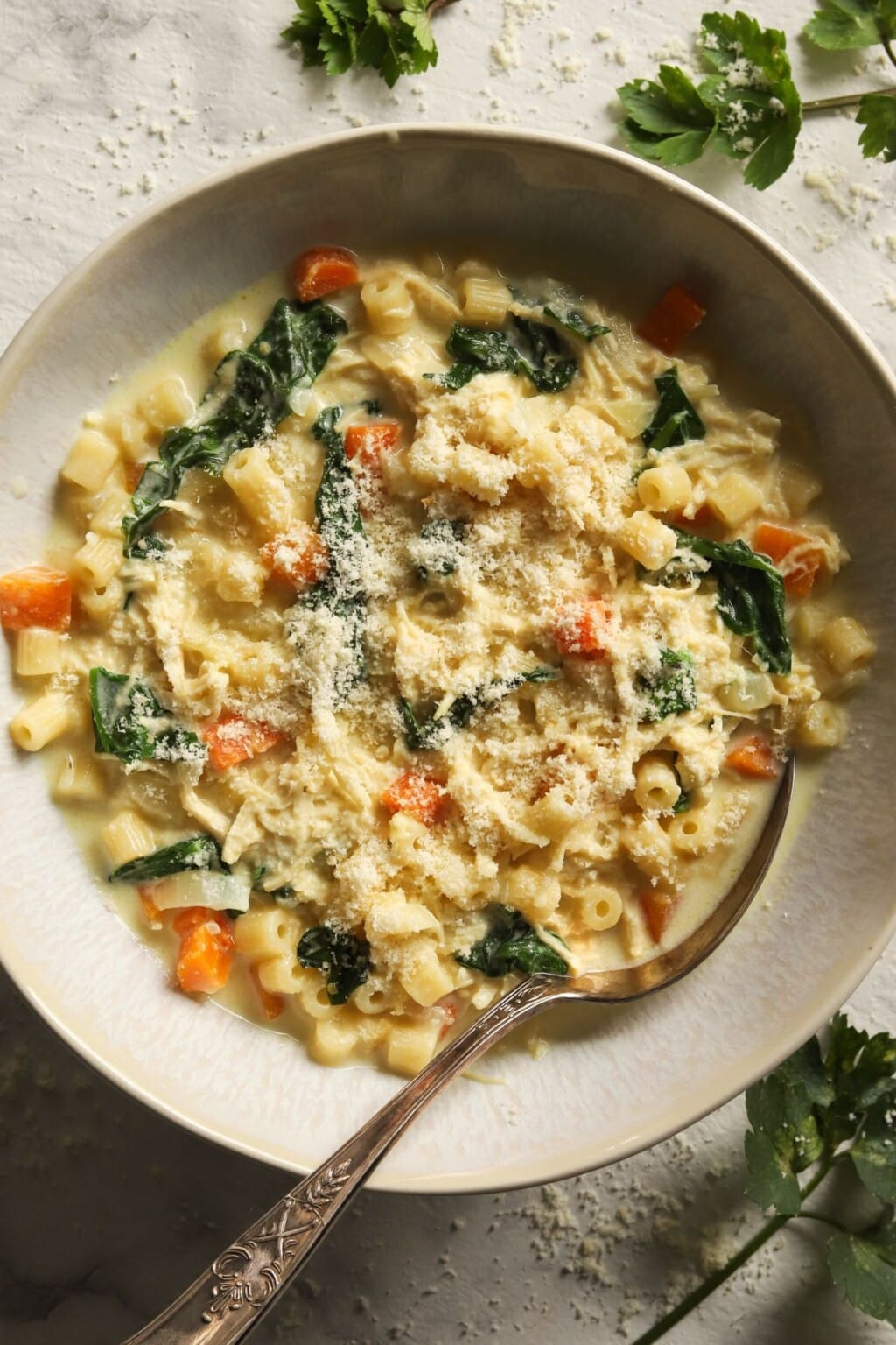 20 High Protein Winter Soup Ideas - Cushy Spa
