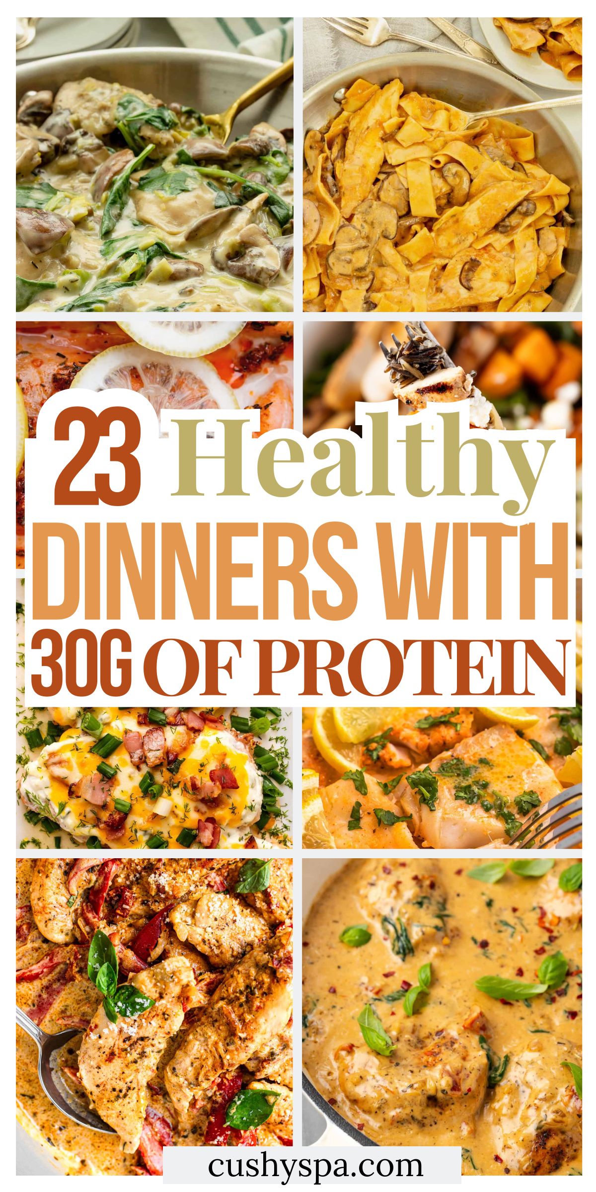23 Dinners 30g of Protein or More - Cushy Spa
