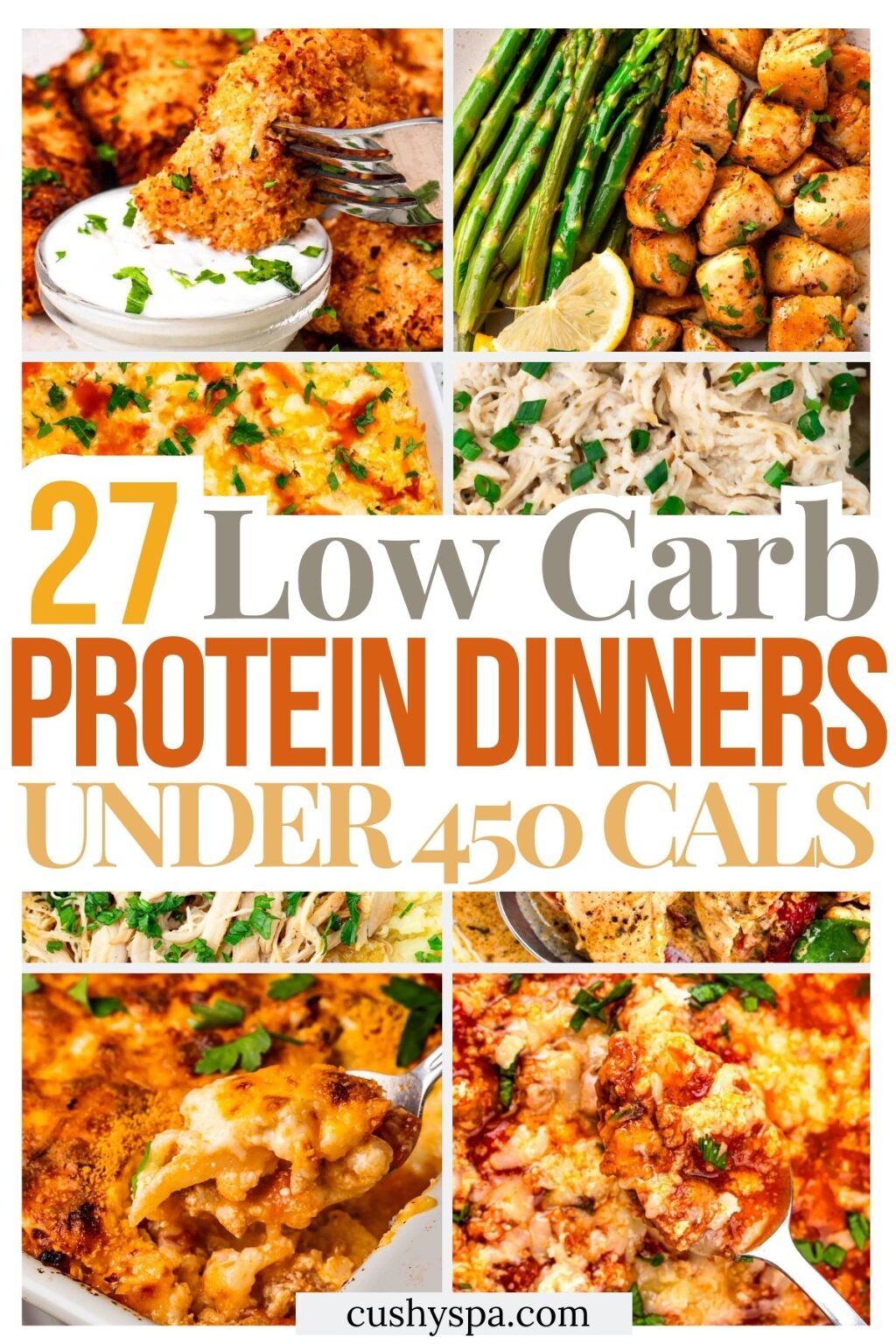 27 High Protein Low Carb Dinners Under 450 Kcal - Cushy Spa