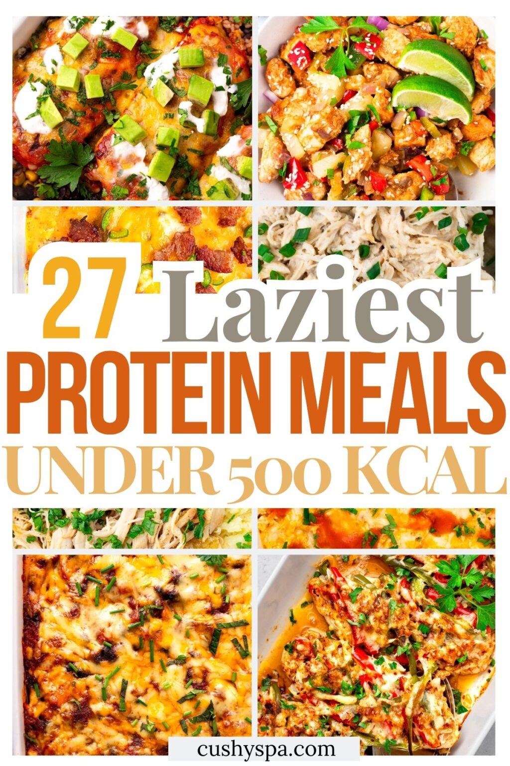27 Lazy High Protein Meals Under 500 Kcal - Cushy Spa