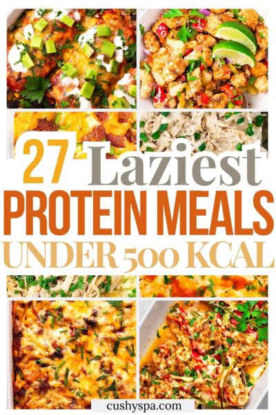 27 Lazy High Protein Meals Under 500 Kcal - Cushy Spa
