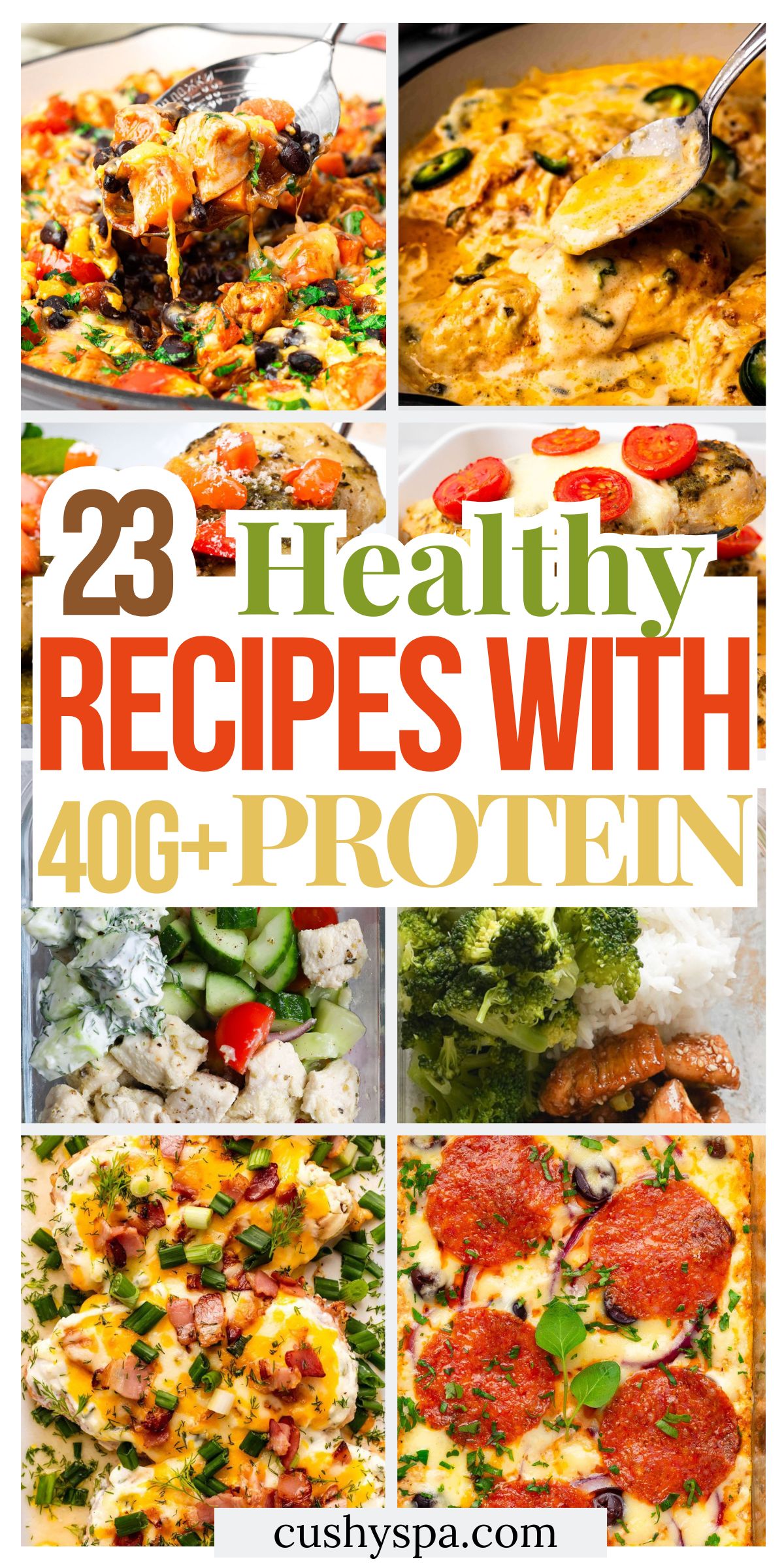 23 High Protein Recipes with 40G+ Protein - Cushy Spa