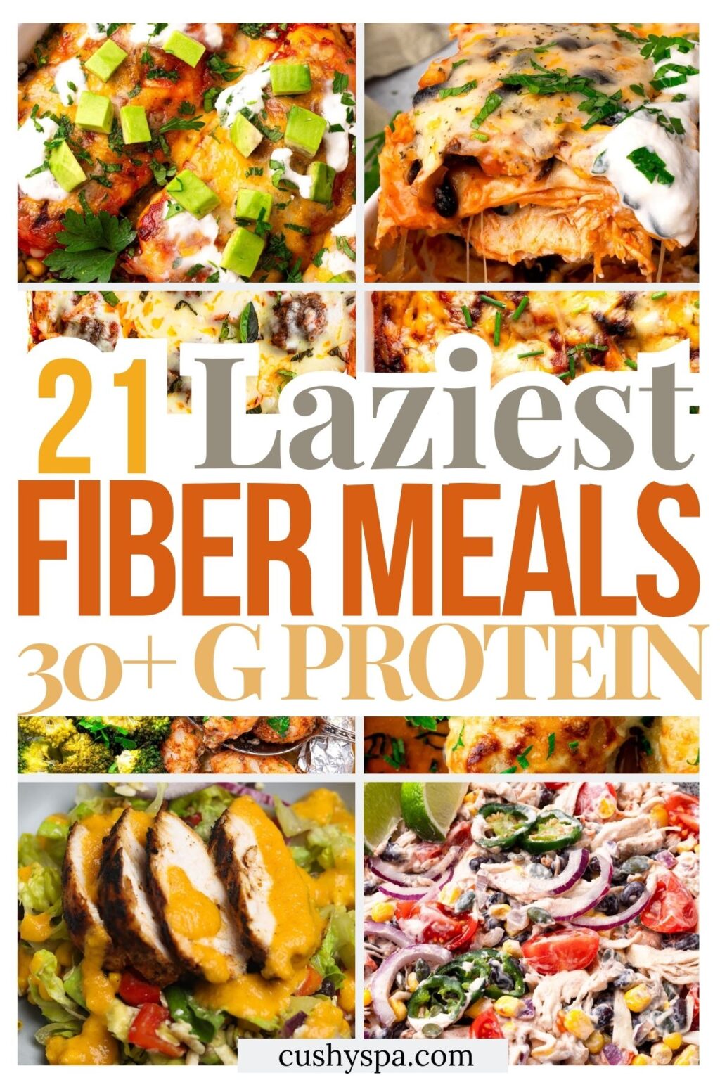 21 Lazy High Protein High Fiber Meals with 30G+ Protein - Cushy Spa